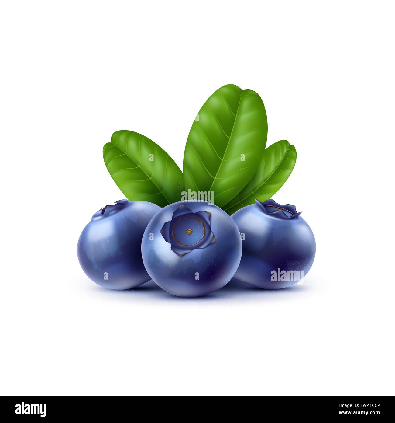 Realistic raw isolated ripe blueberry 3d vector vibrant pile. Juicy ...