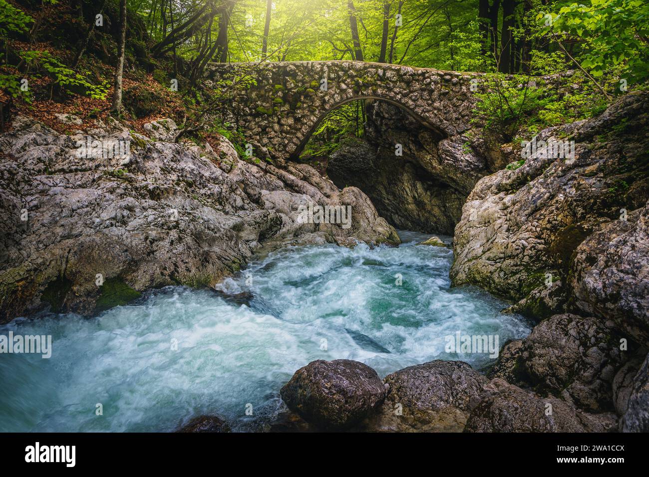 Cute small stone bridge over the creek and cascades in the green forest ...