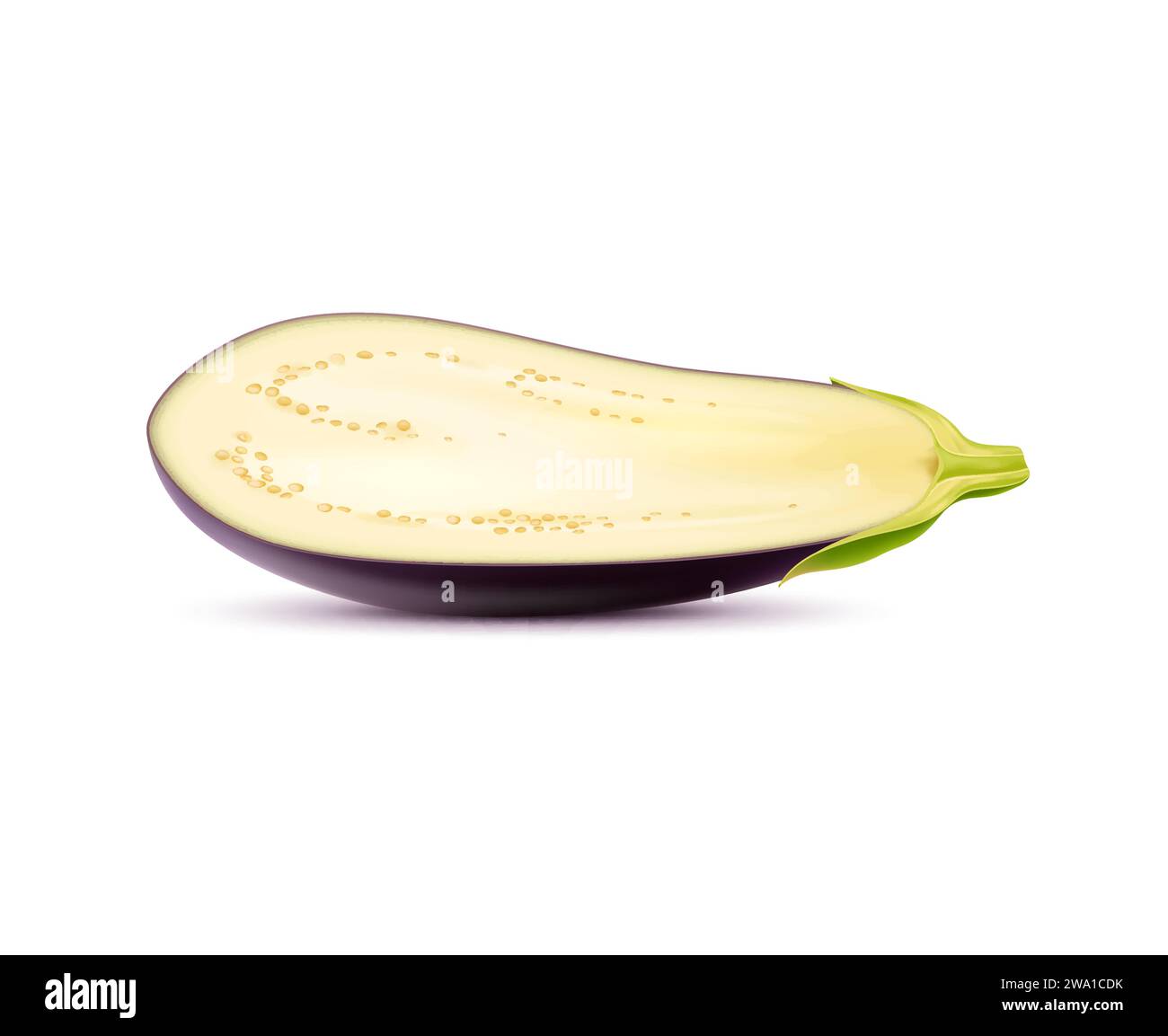 Realistic raw isolated eggplant vegetable half. 3d vector sliced plant ...