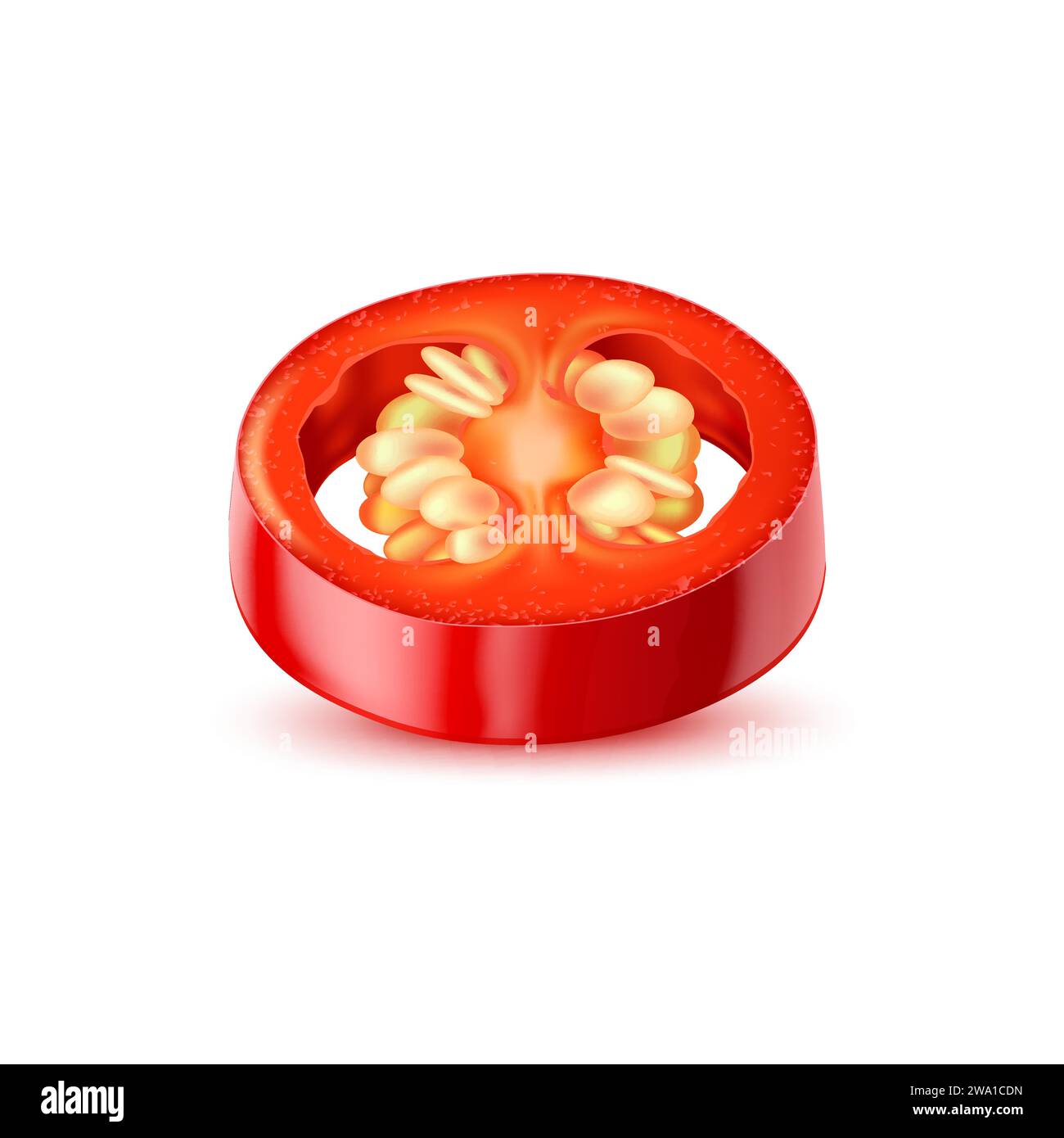 Realistic raw isolated chili pepper ring. 3d vector circular slice of a ...