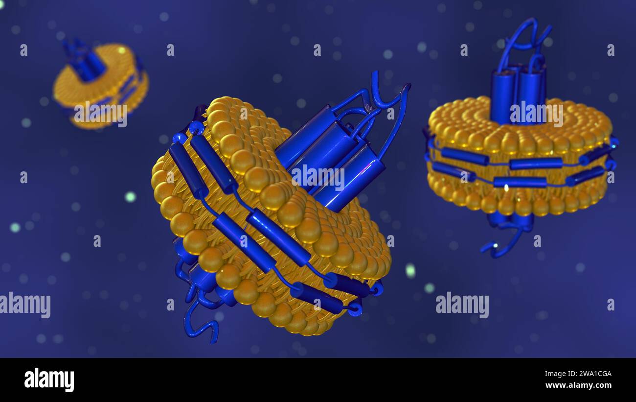 3d rendering of nanodisc consists of Phospholipids and A stabilizing ...