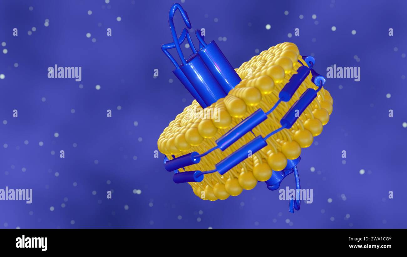 3d rendering of nanodisc consists of Phospholipids and A stabilizing ...