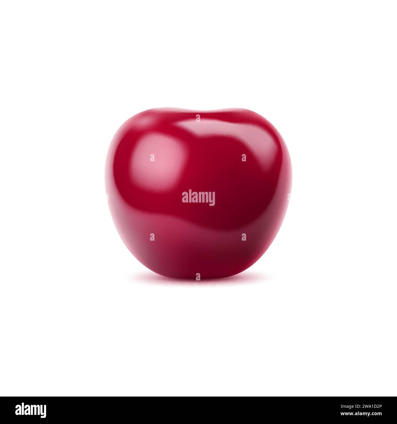 Realistic isolated ripe raw cherry berry. 3d vector vivid, and tempting ...