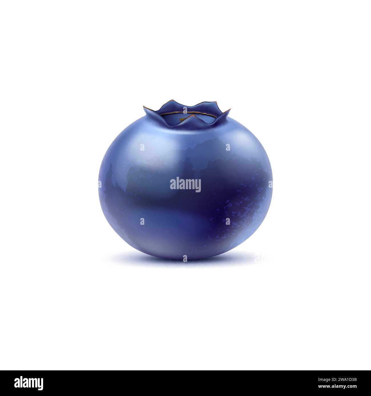 Realistic raw isolated ripe blueberry. 3d vector plump juicy berry ...
