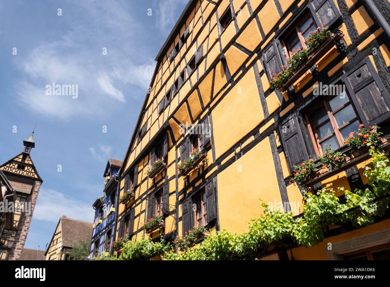 Facade of a colorful traditional half-timbered yellow house and Dolder ...