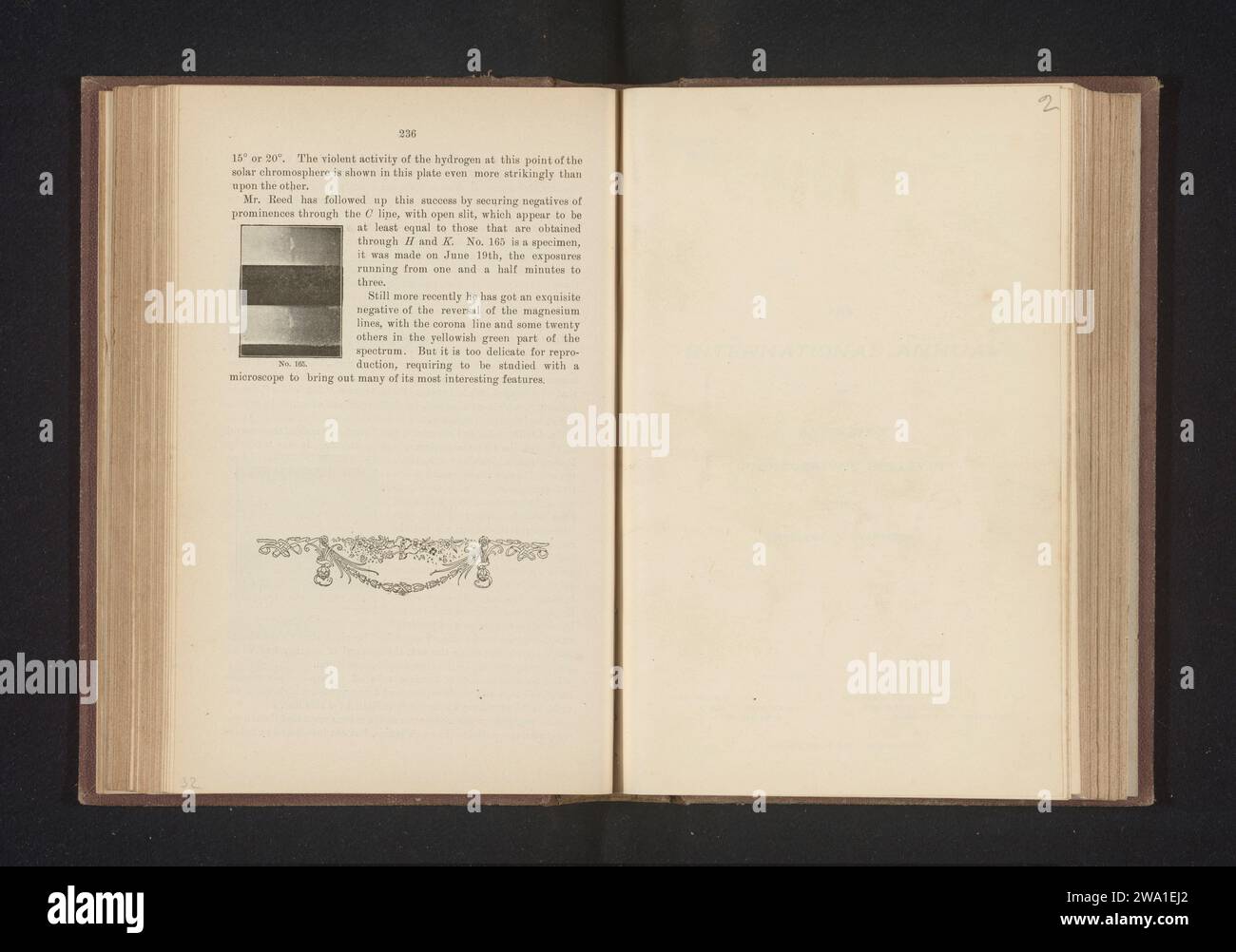 Surface of the Sun, Anonymous, 1892 photomechanical print paper unusual ...