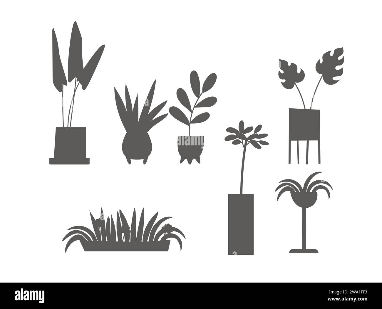 Cypress stand Stock Vector Images - Alamy