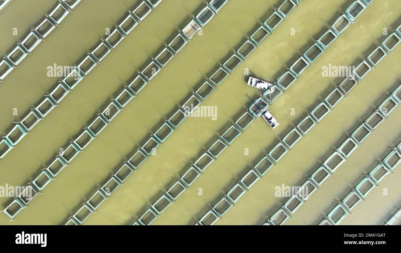 SUQIAN, CHINA - JANUARY 1, 2024 - Crab farmers catch crabs from cages ...