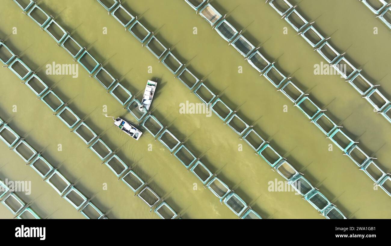 SUQIAN, CHINA - JANUARY 1, 2024 - Crab farmers catch crabs from cages ...