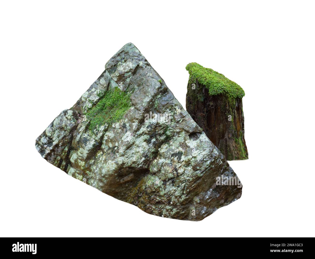 wet stone covered with moss with tree stump isolated on white ...