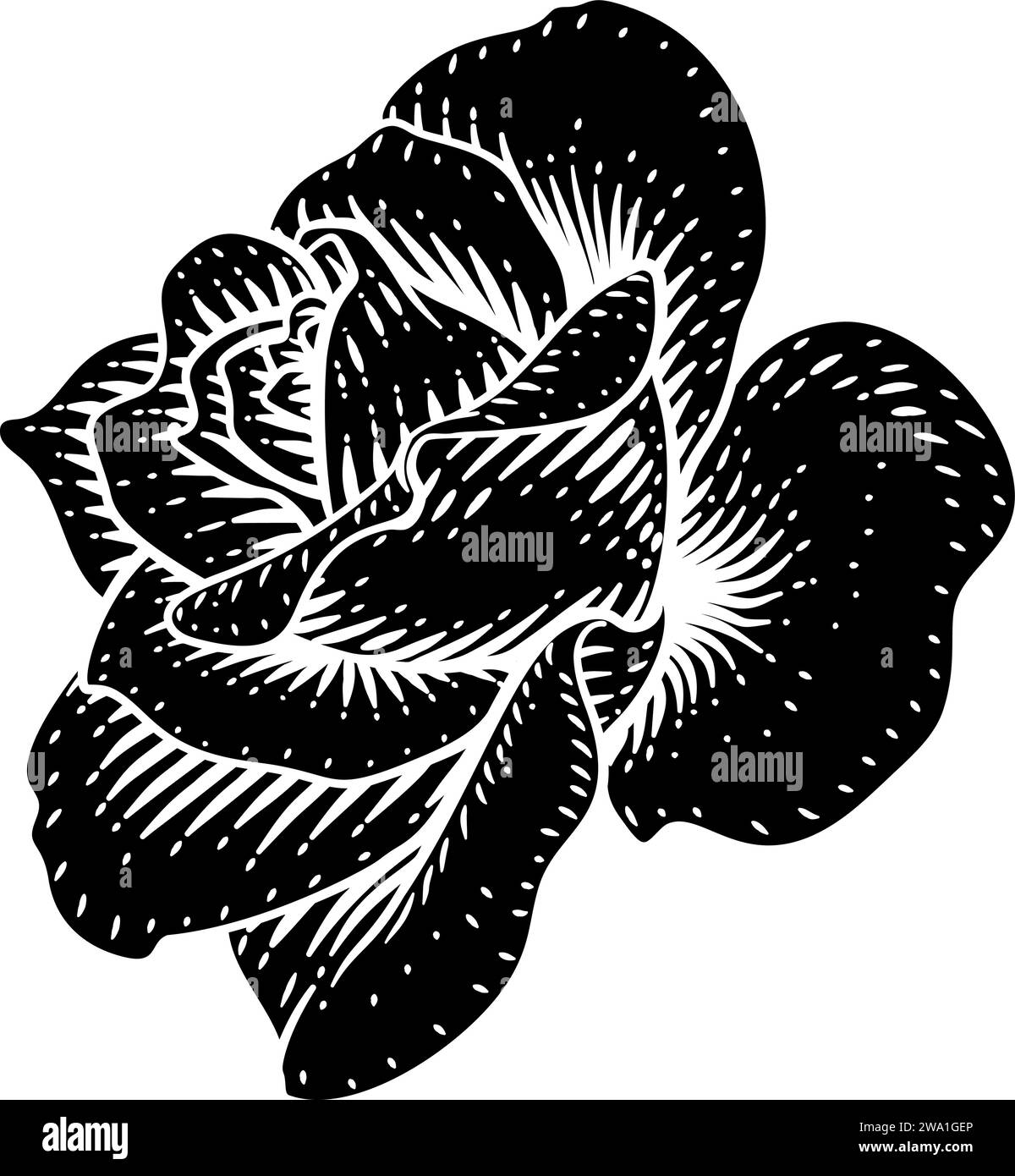 Rose Flower Design Woodcut Vintage Retro Style Stock Vector Image & Art ...