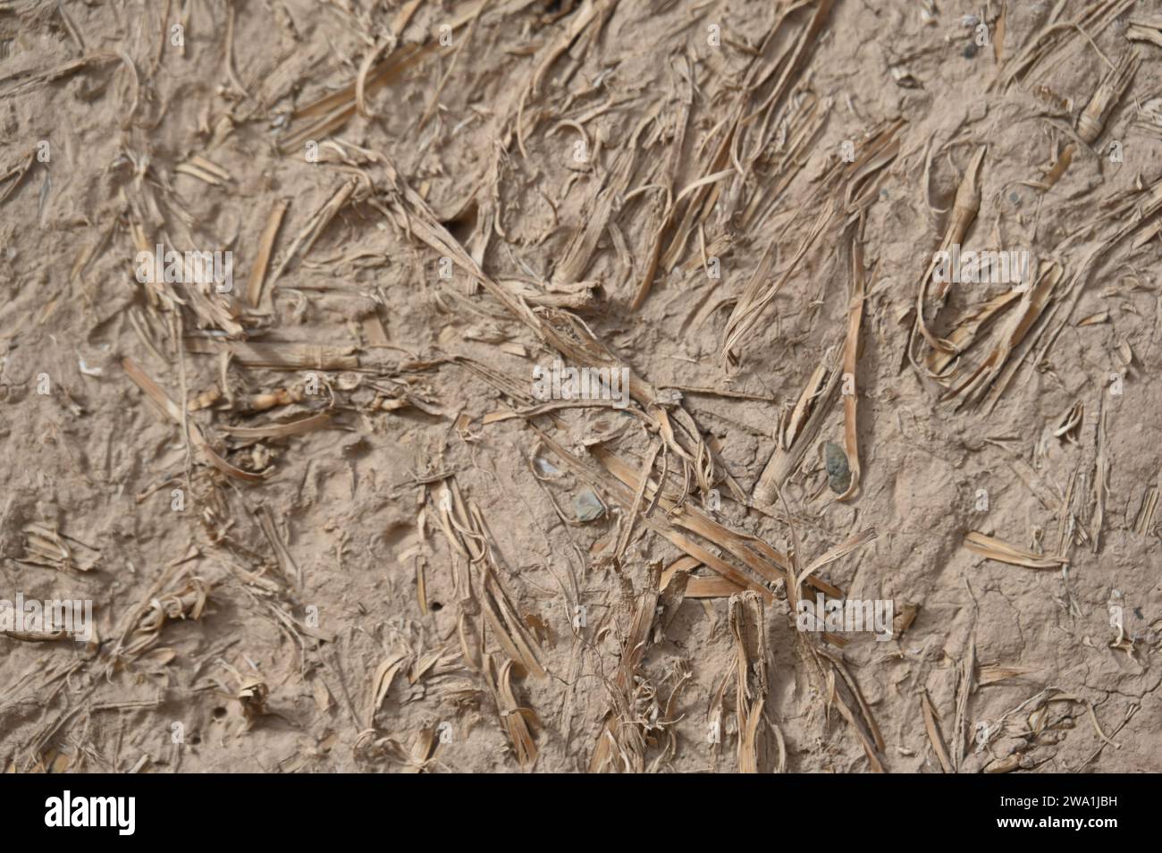 Mud and straw house hi-res stock photography and images - Alamy