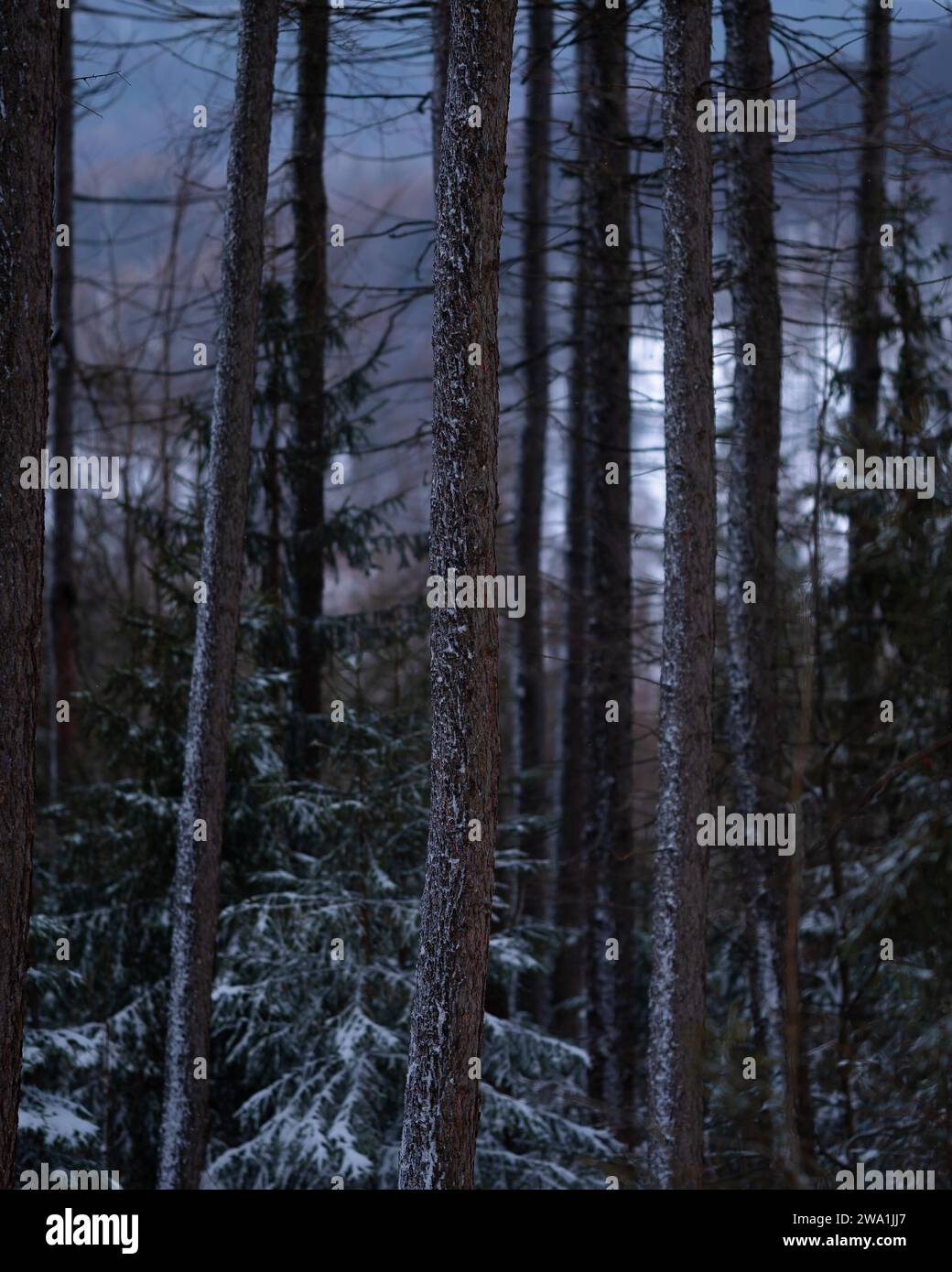 Moody scenery hi-res stock photography and images - Alamy