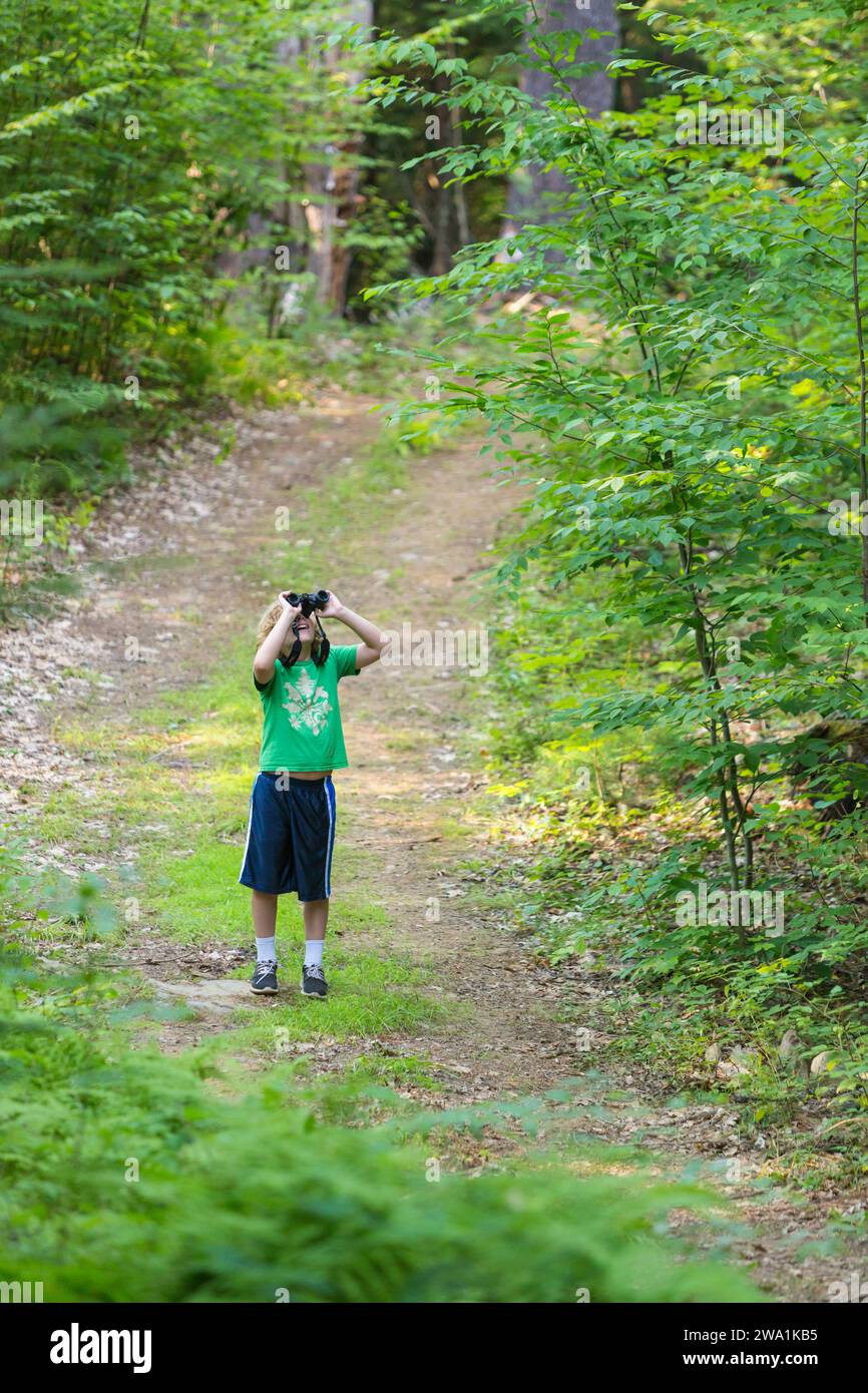 A boy birdwatching on a forest trail in Madbury, New Hampshire Stock ...
