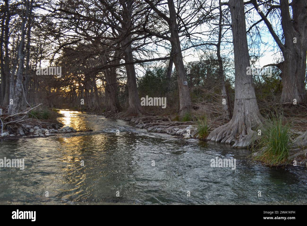 Rio frio river hi-res stock photography and images - Alamy
