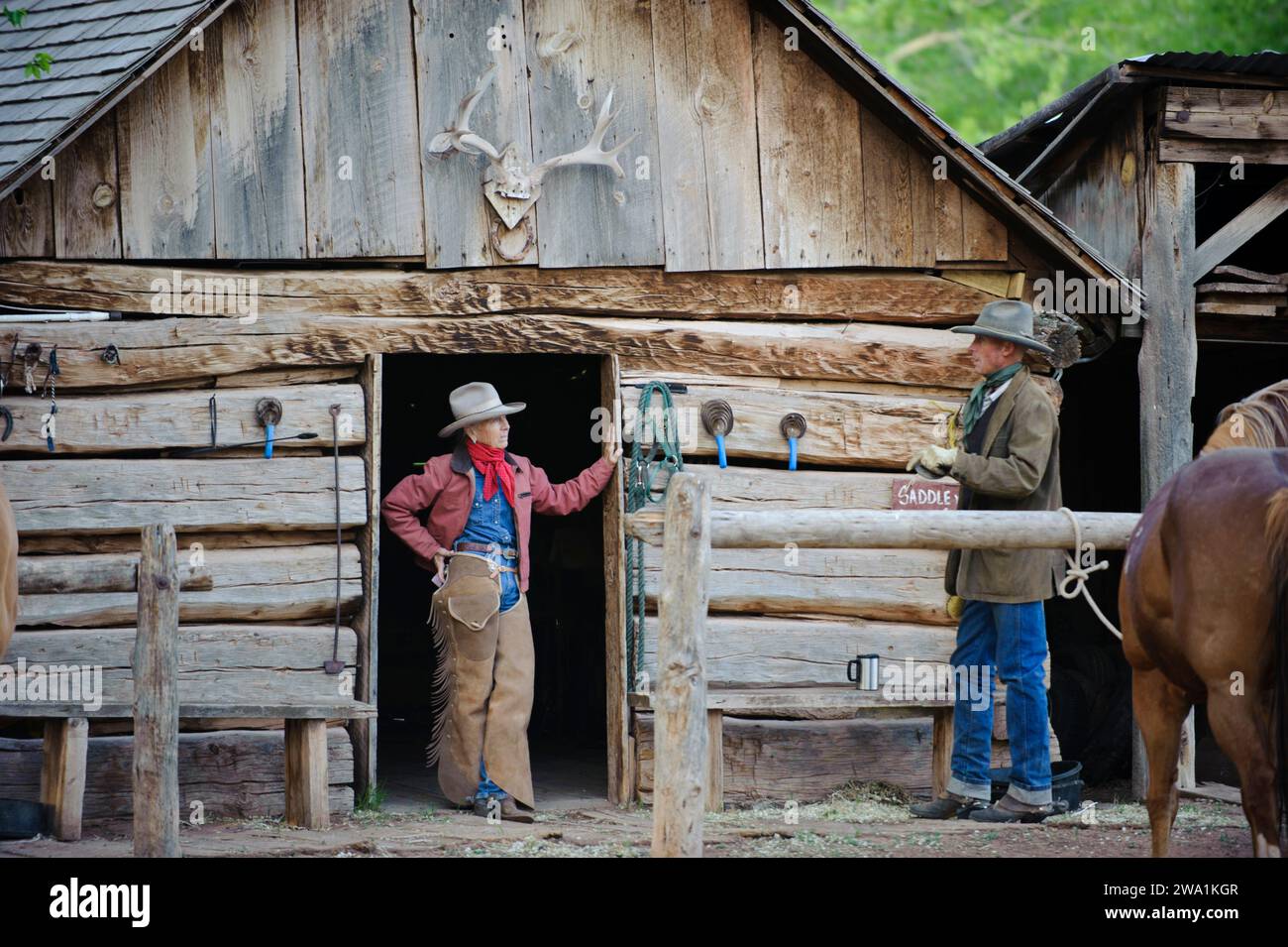 Cattle rancher readying to ride, next to Canyonlands NP, UT Stock Photo ...
