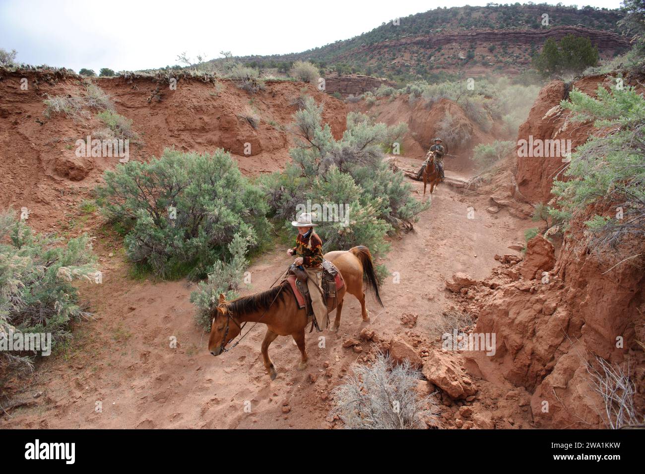 Ranching culture hi-res stock photography and images - Alamy