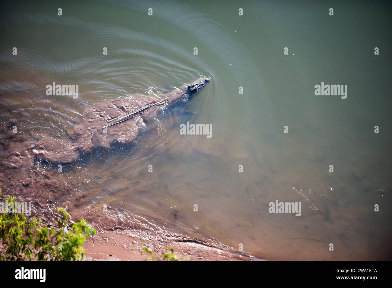 Daly river hi-res stock photography and images - Alamy