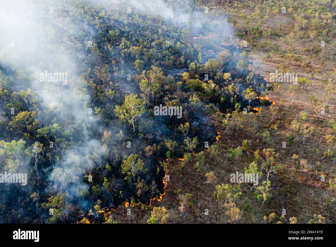 Aboriginal fire hi-res stock photography and images - Alamy