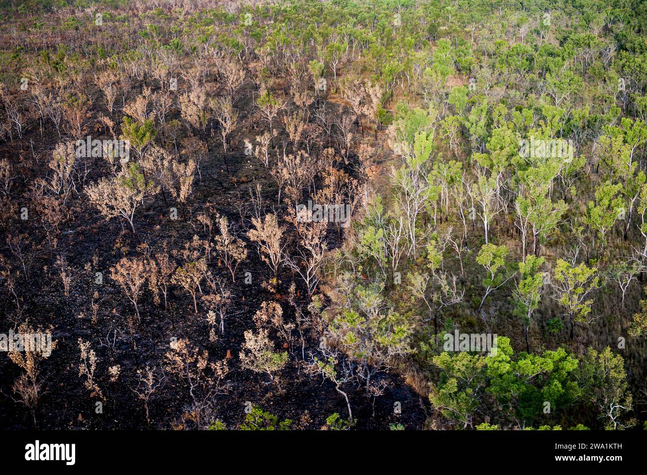 Prescribed burn, Fish River protected area, Australia Stock Photo - Alamy