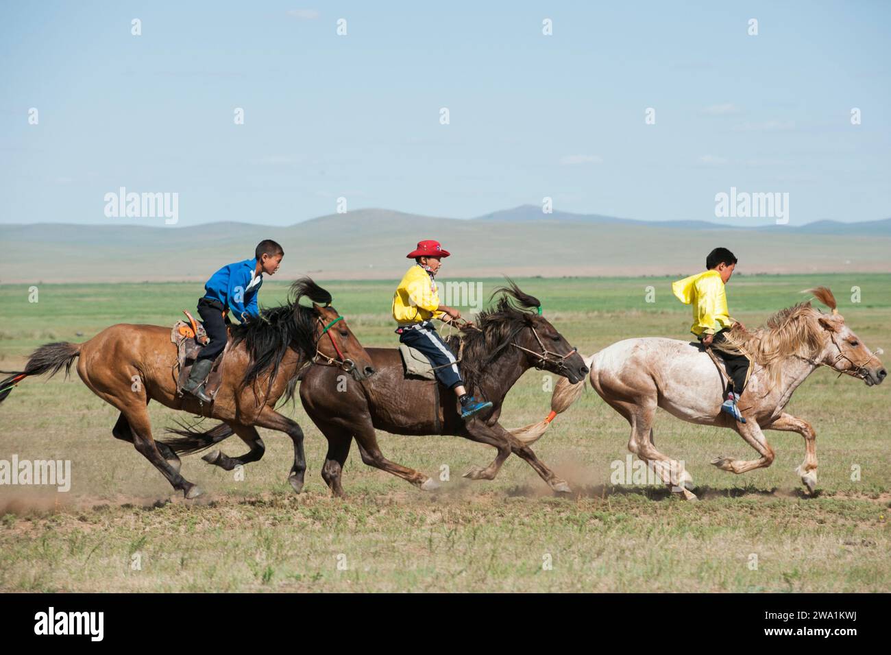 Naadam horse hi-res stock photography and images - Alamy