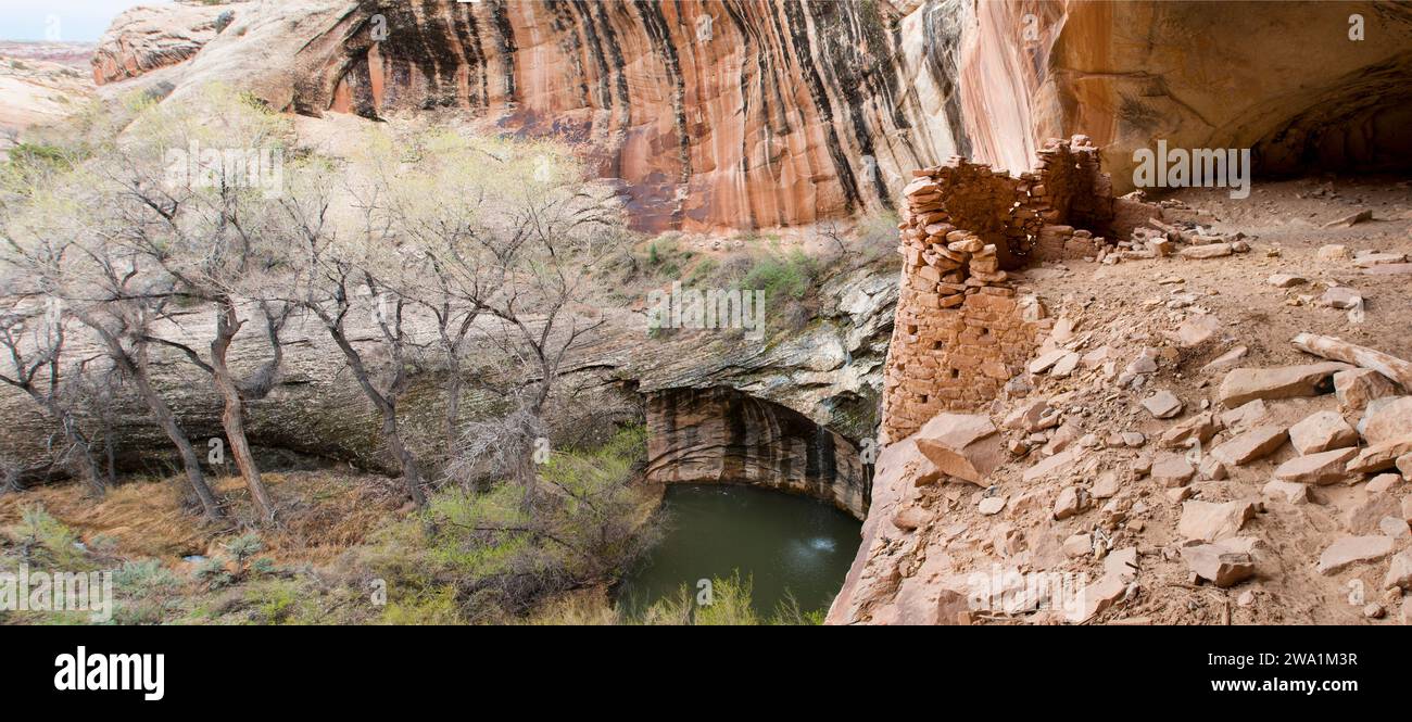 Rock cave in Comb Ridge, Bears Ears National Monument, Utah, USA Stock ...