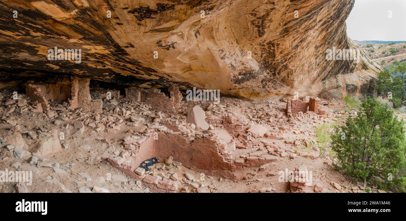 Old ruins of dwellings, Comb Ridge, Bears Ears National Monument, USA ...