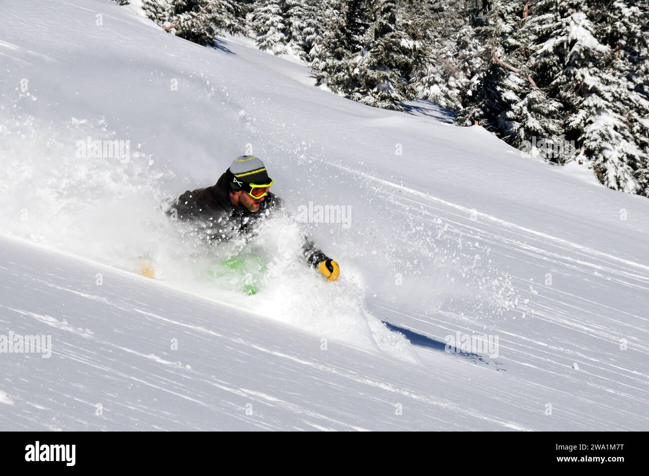 A man skiing on a bluebird powder day at a mountain resort near South ...