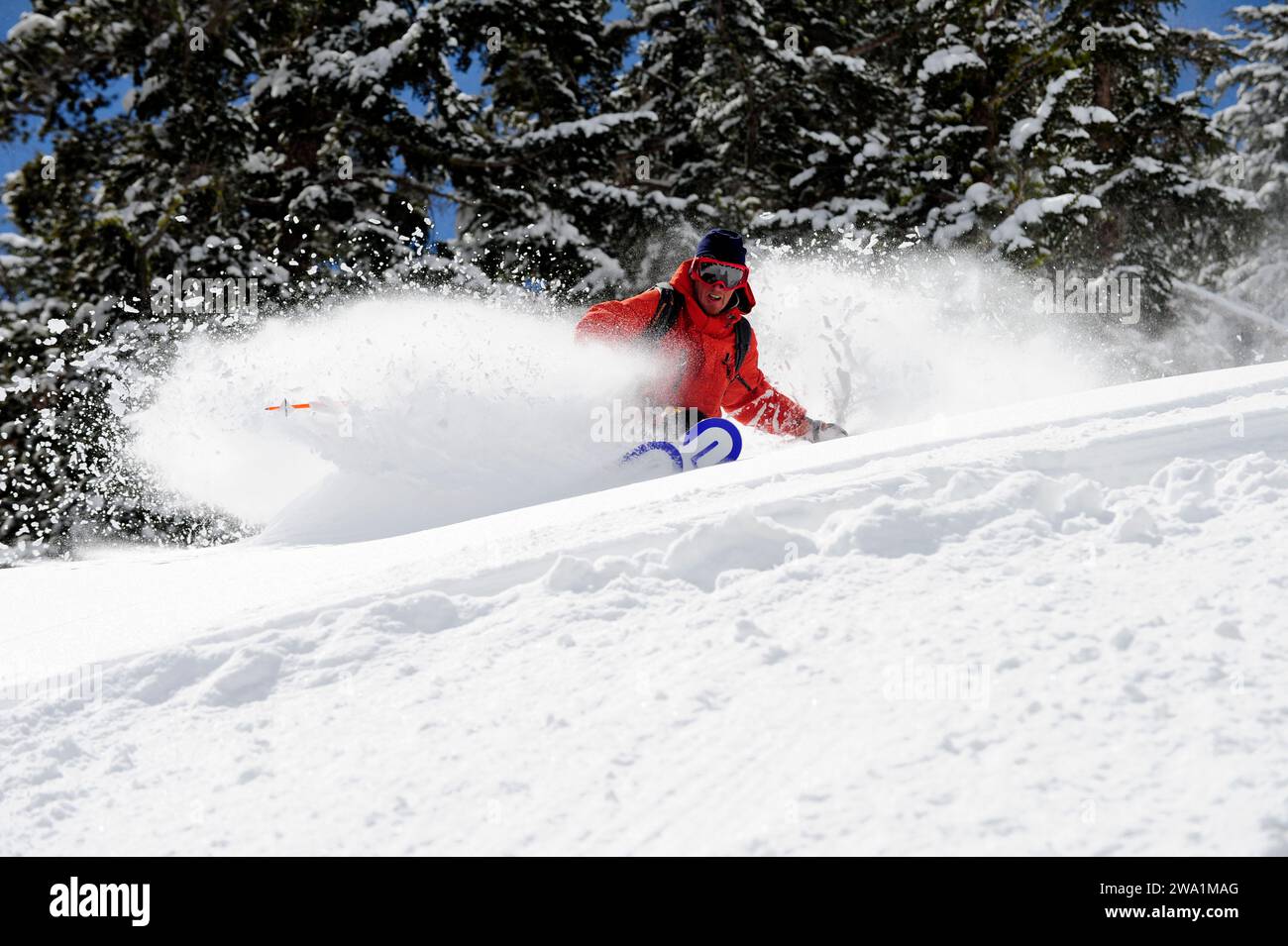 A man skiing on a bluebird powder day at a mountain resort near South ...