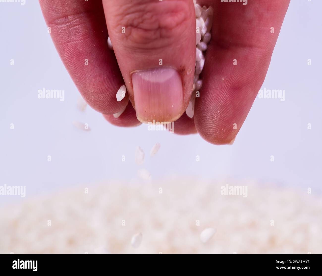 Hand throwing rice in Villajoyosa Stock Photo - Alamy