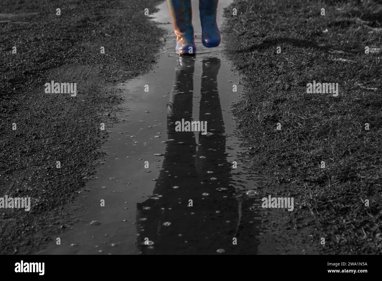 Blue/Purple Wellies reflecting in a puddle with a colour splash on the ...