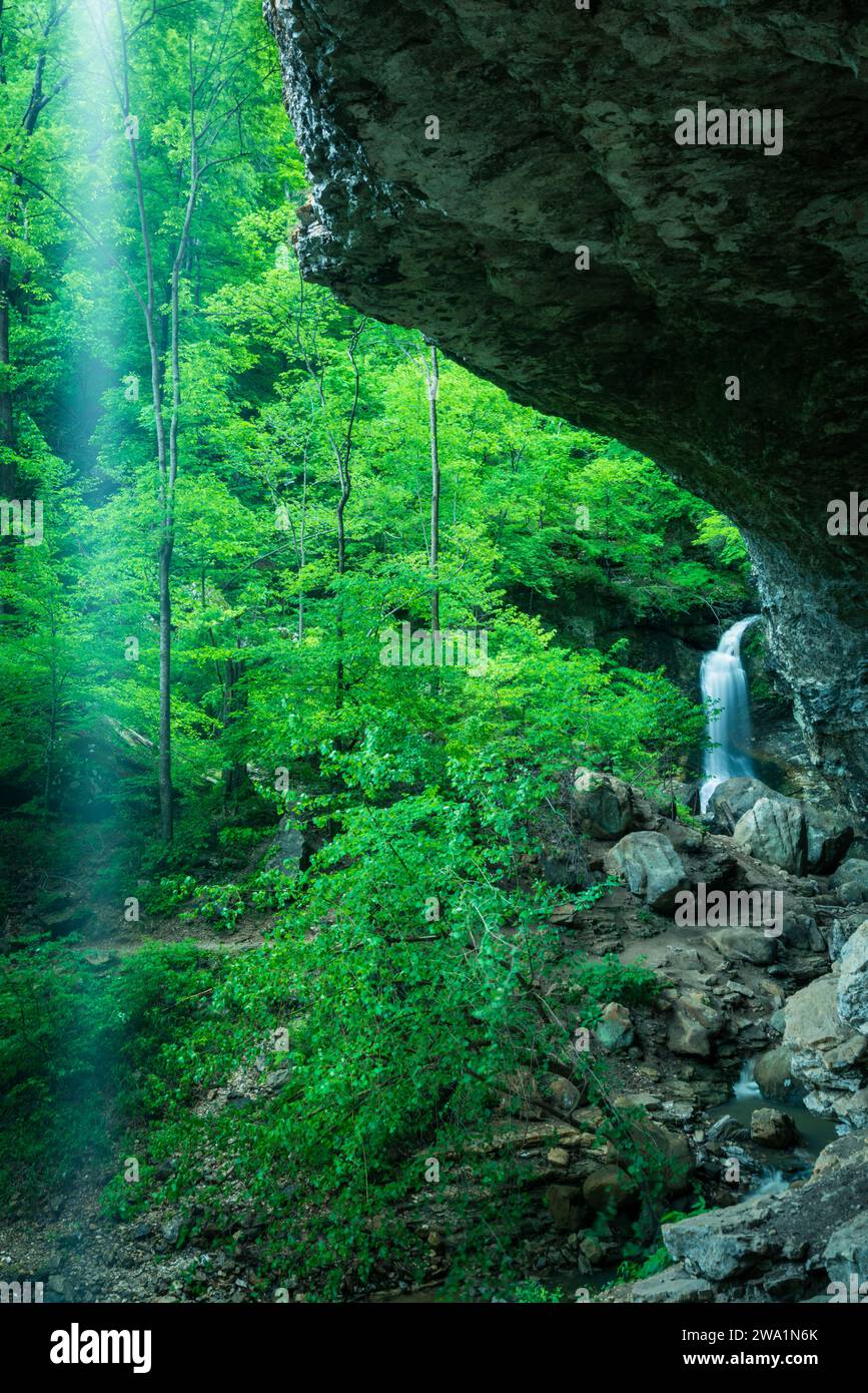 Cave, waterfalls and forest in the Ozark Mountains Stock Photo - Alamy