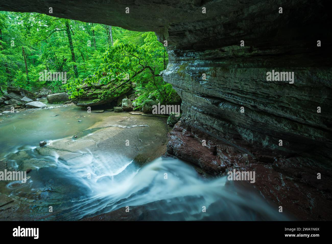 Stream flowing through a cave into the forest Stock Photo - Alamy