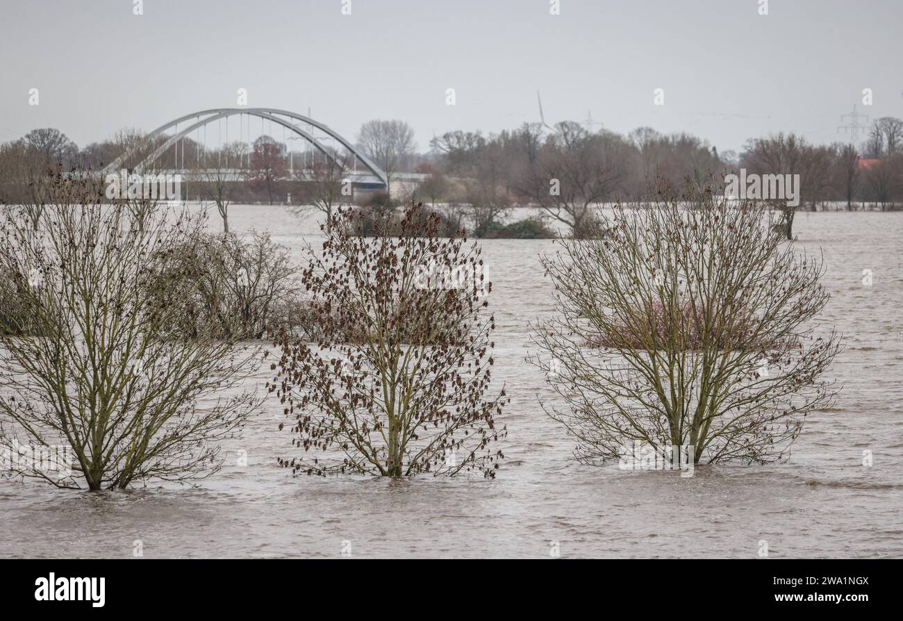 Achim, Germany. 01st Jan, 2024. Trees protrude from the Weser ...