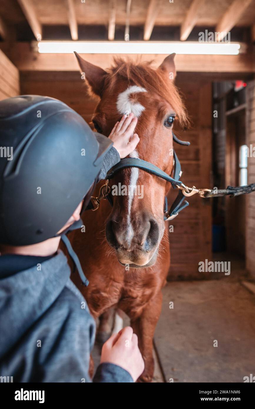 Young boy petting horse on forehead in stable Stock Photo - Alamy