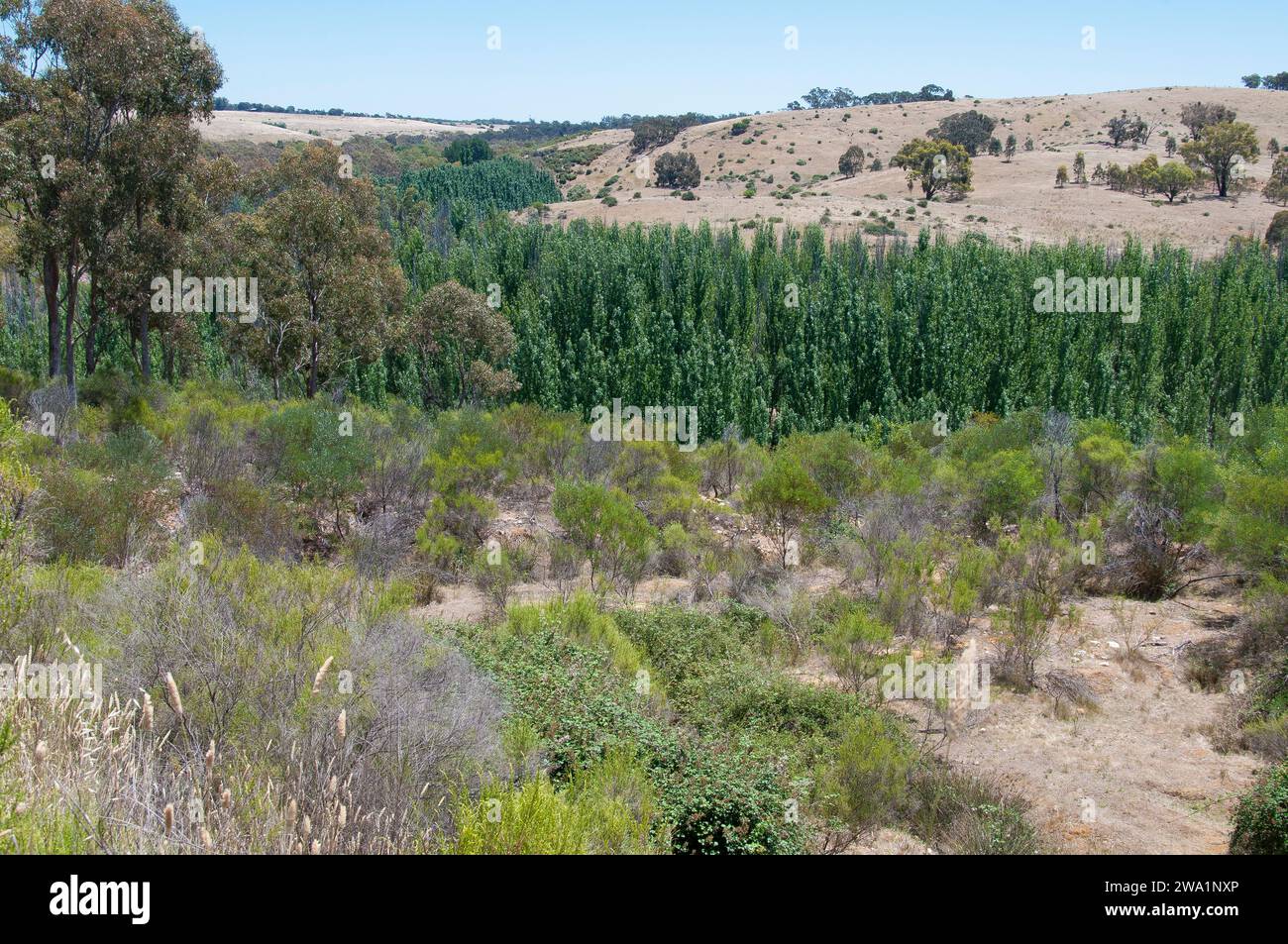 Castlemaine diggings national heritage park hi-res stock photography ...