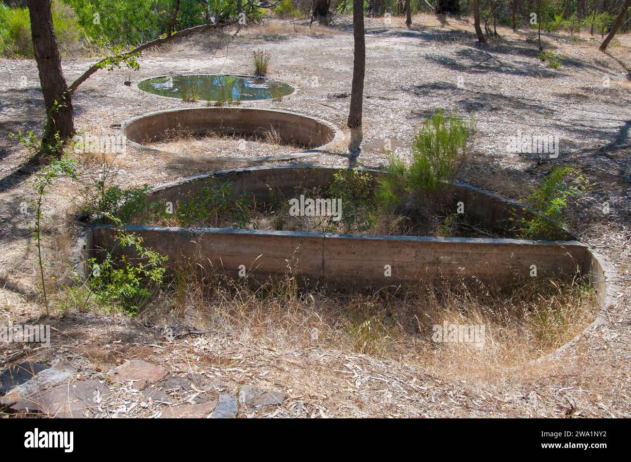 Historic workings of the North British Mine at Maldon in the Central ...