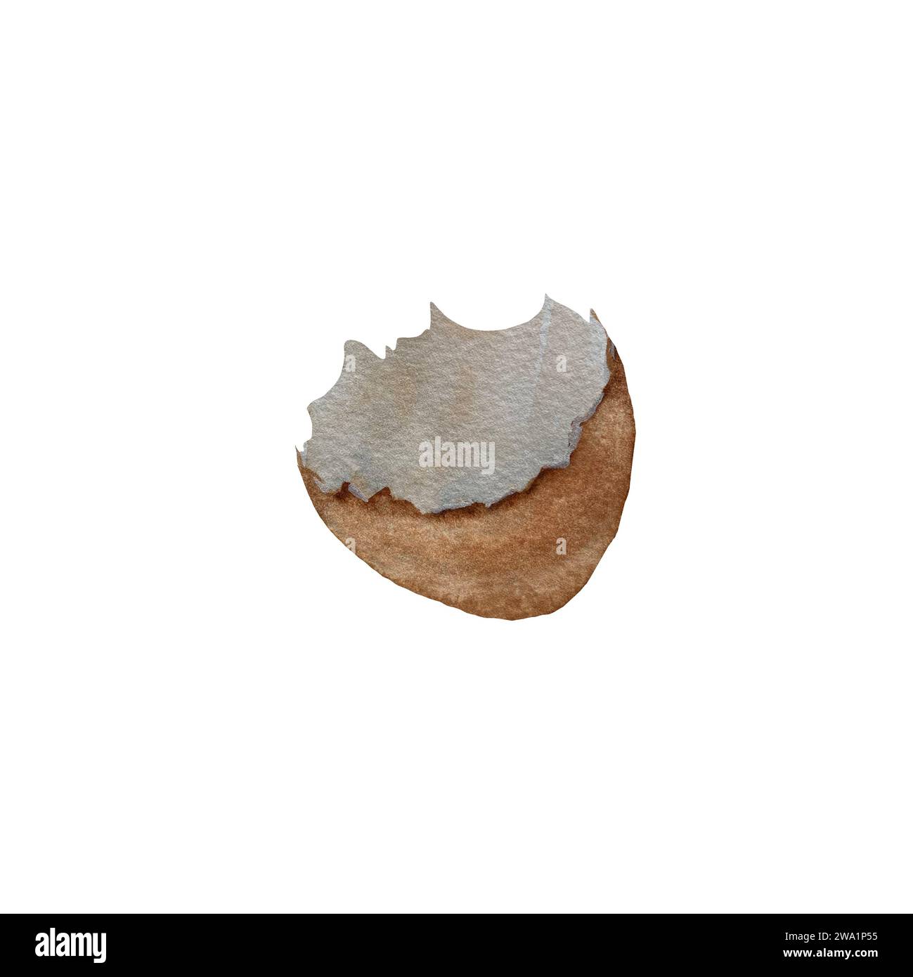 Baguette watercolor painting hi-res stock photography and images - Alamy