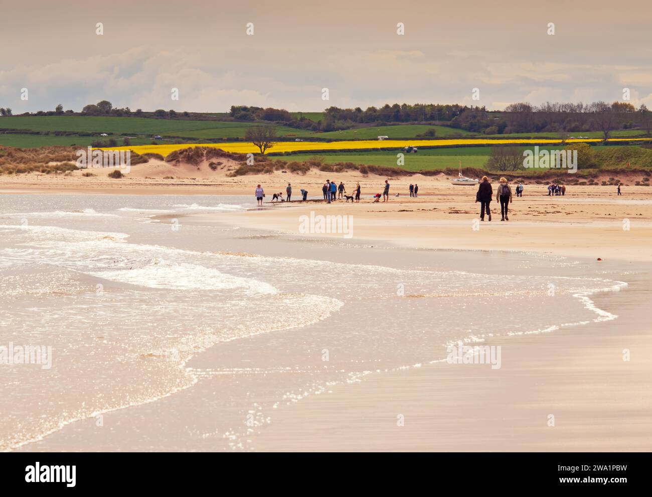 People enjoying a quiet Sunday on Alnmouth beach, Northumberland, UK ...