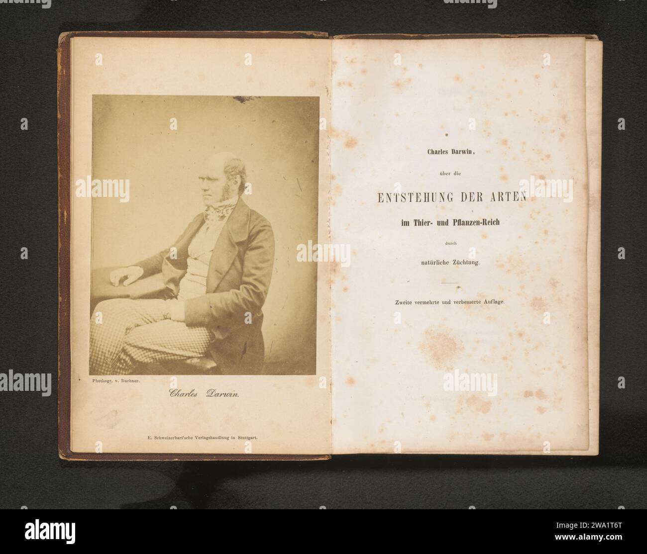 About the creation of the species in the animal and plant kingdom by ...