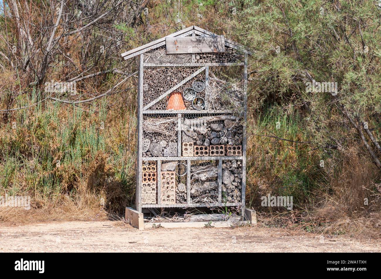 artificial nest box for wild insects, insect hotel Stock Photo - Alamy