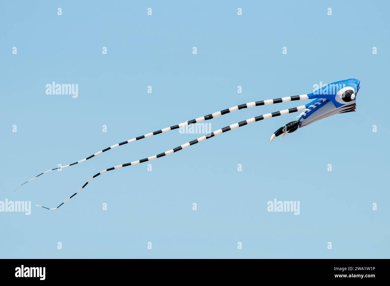 Animal kites hi-res stock photography and images - Alamy