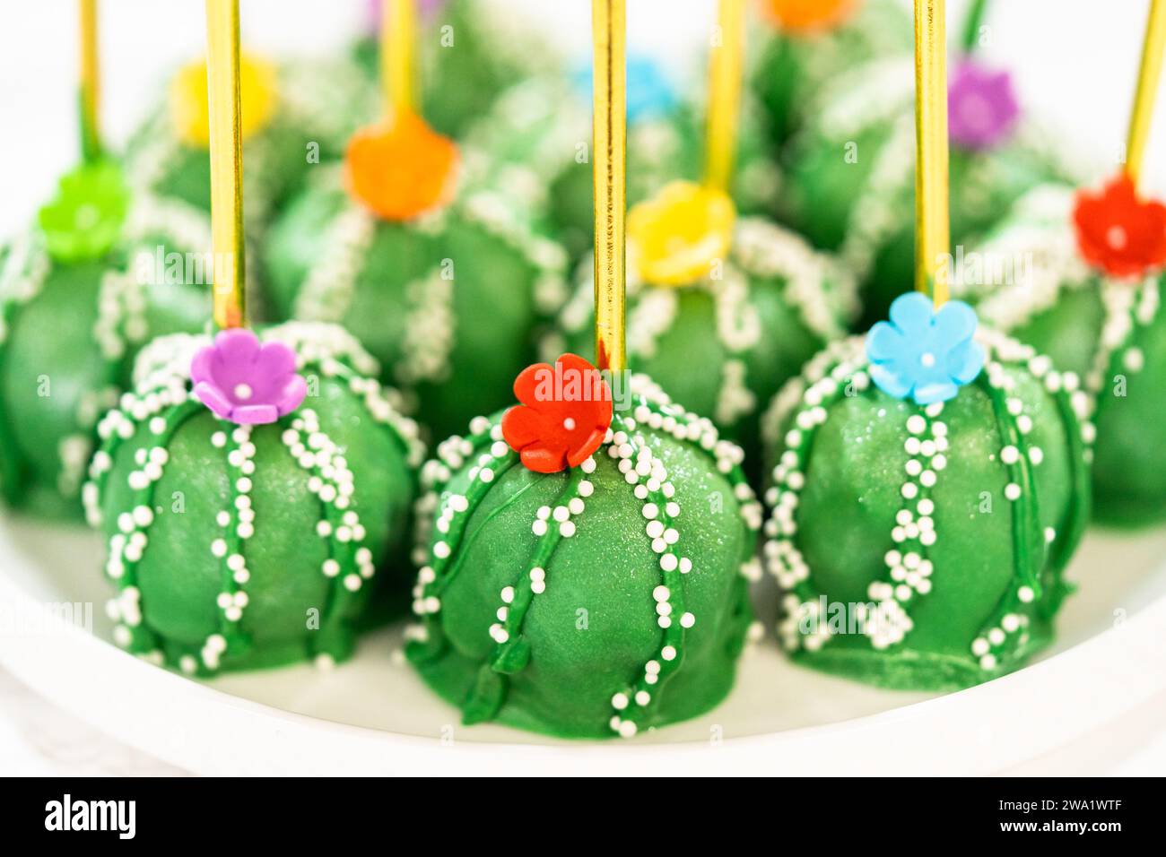 Delicious cactus cake pops for Cinco de Mayo celebration Stock Photo ...