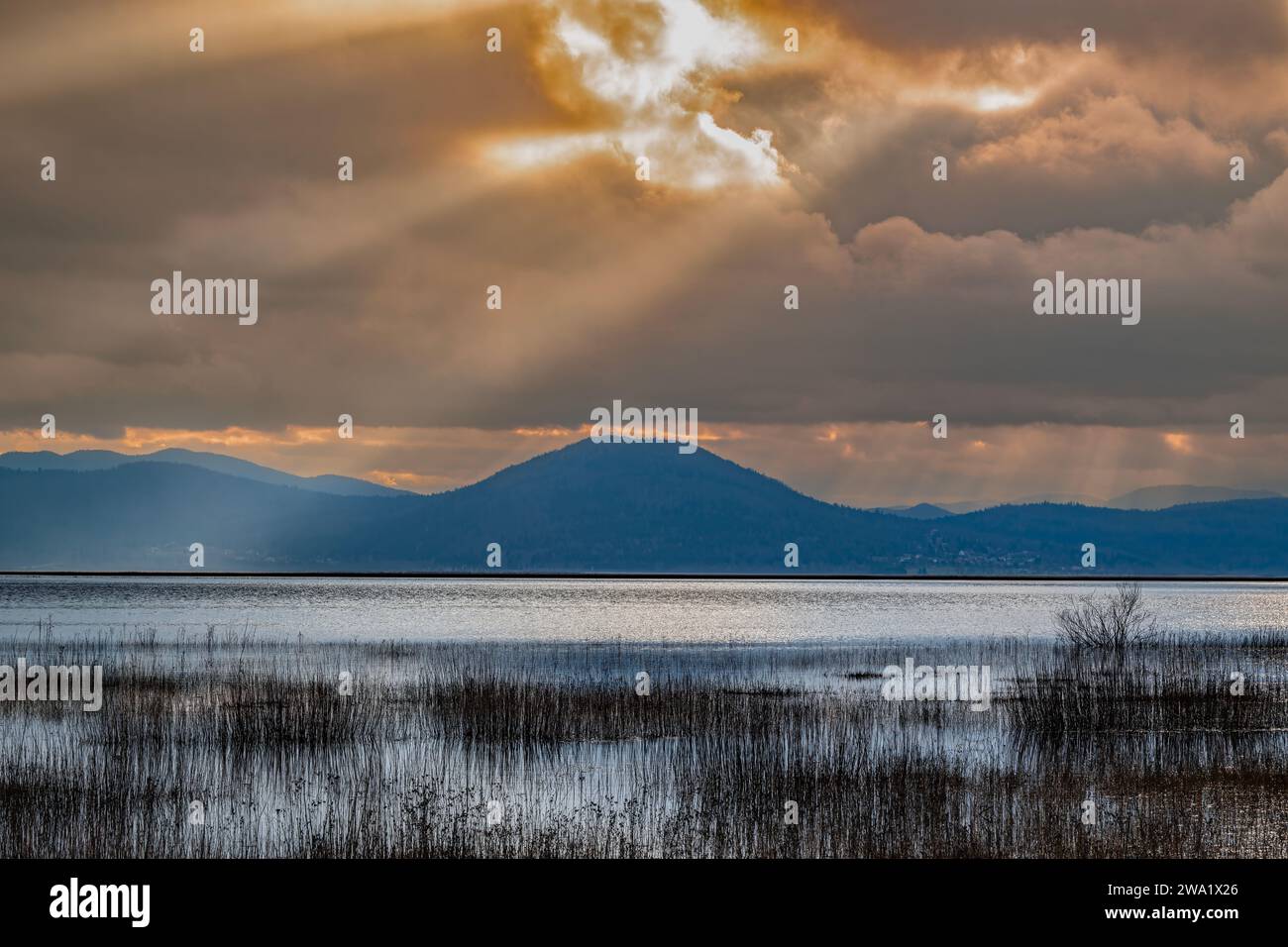Last sun rays Stock Photo - Alamy