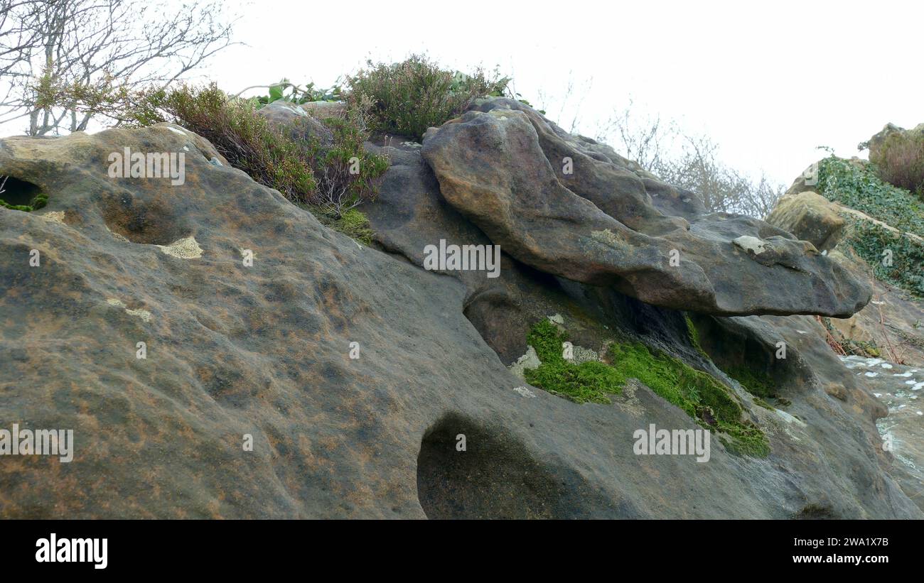 Wet sandstone hi-res stock photography and images - Alamy
