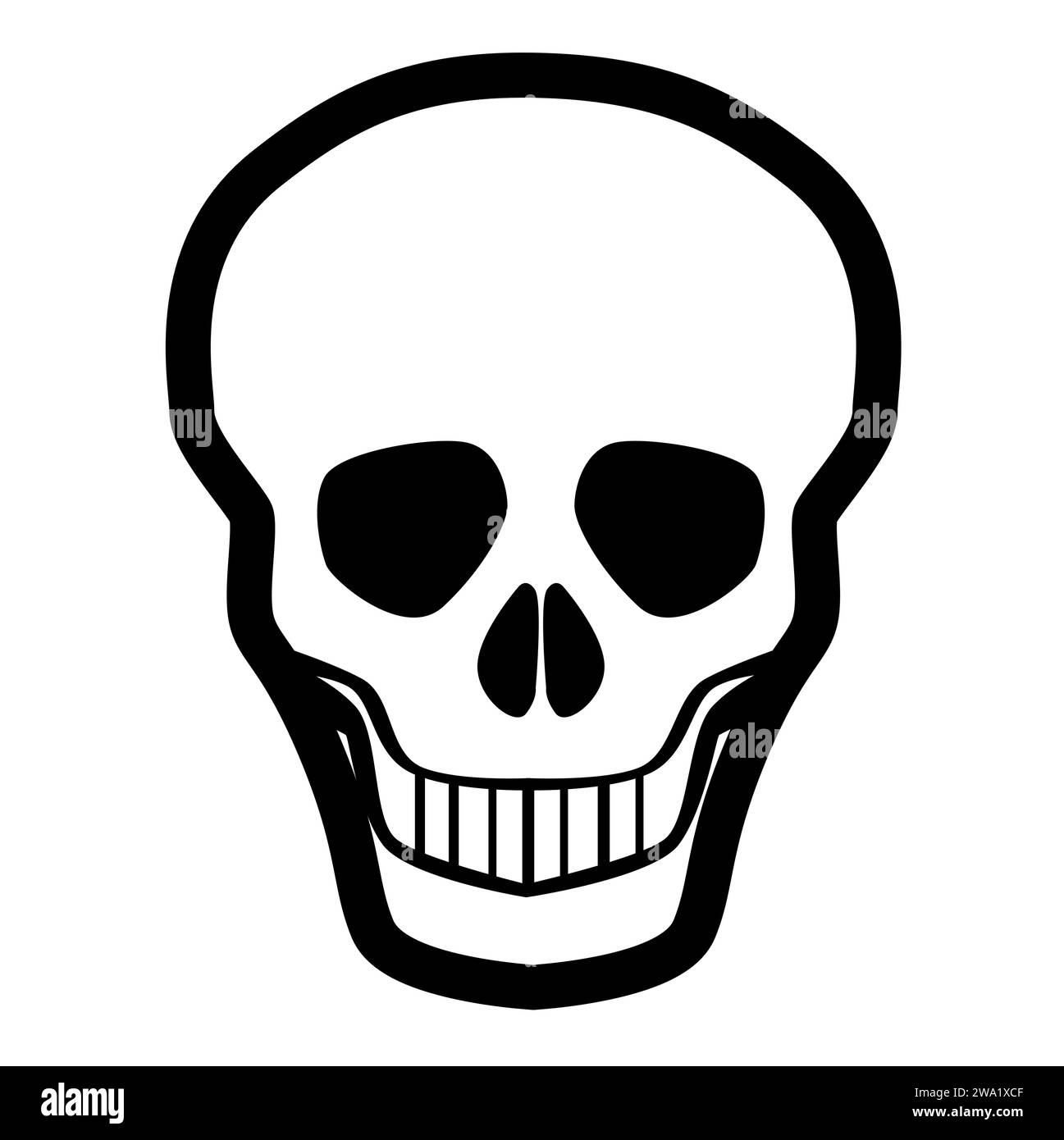 A human skull in black line drawing isolated on a white background ...