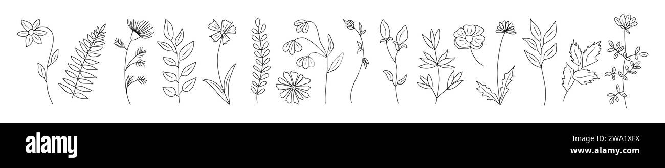 Tiny plants spring Cut Out Stock Images & Pictures - Alamy