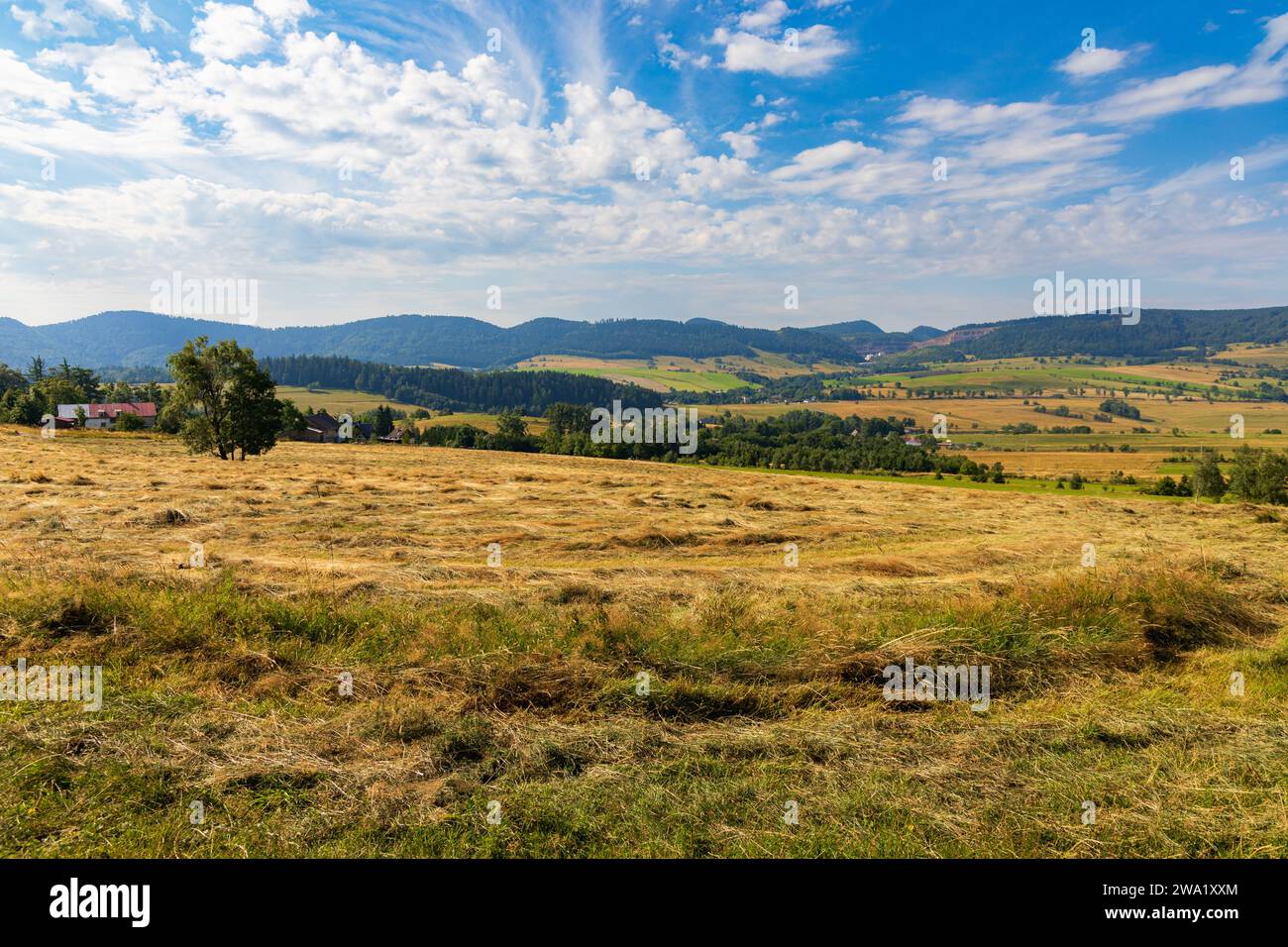 Beautiful landscape of glades and clearing full of fields and trees ...