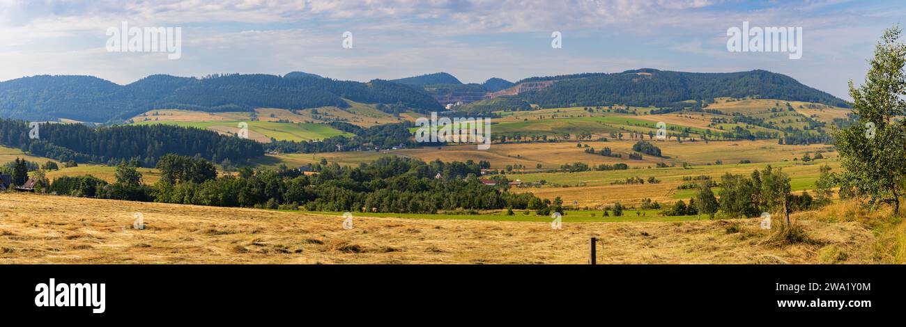 Beautiful landscape of glades and clearing full of fields and trees ...