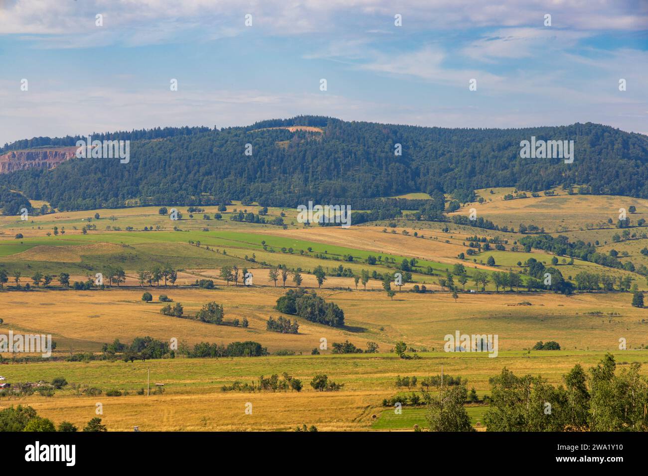 Beautiful landscape of glades and clearing full of fields and trees ...